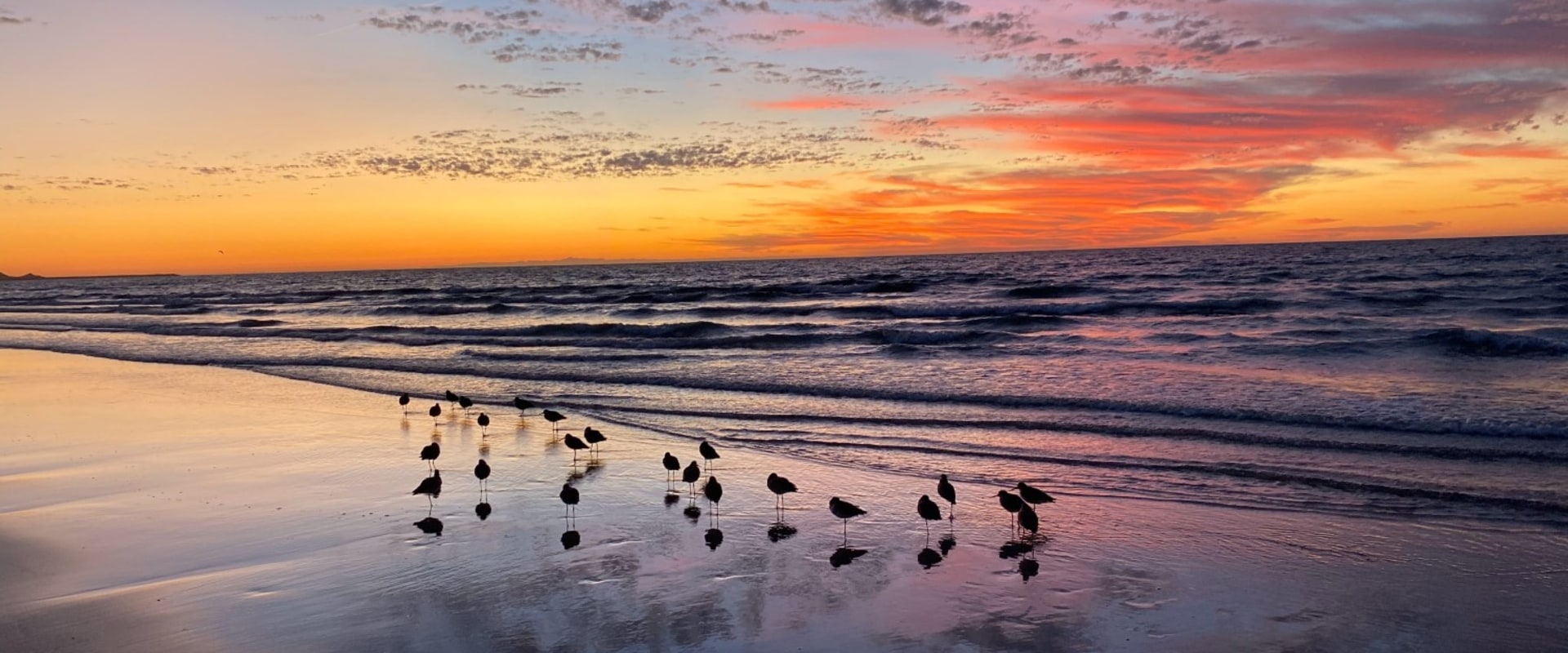 Discover Downtown Rocky Point